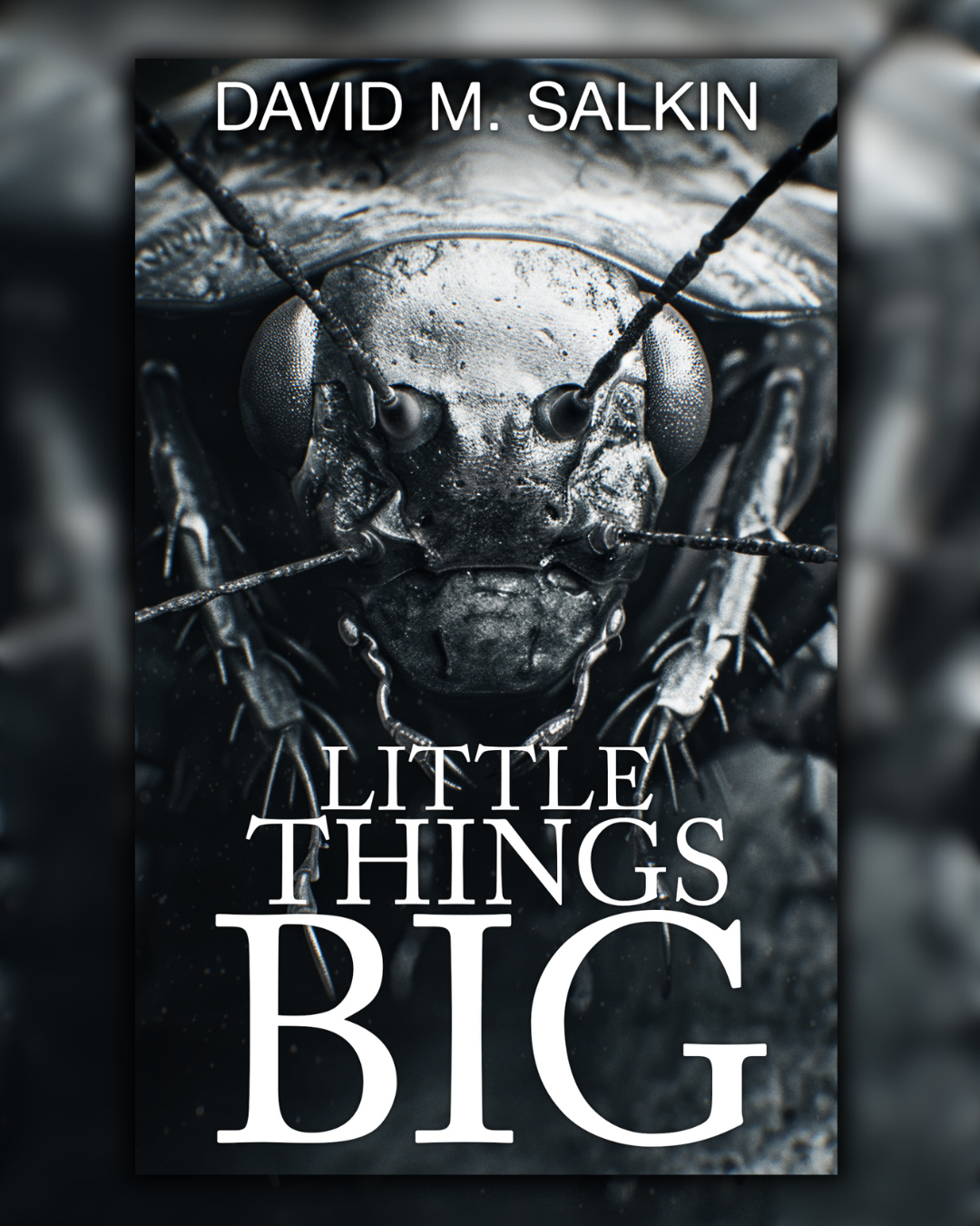 Cover Reveal - Little Big Things by David M. Salkin - Crystal Lake